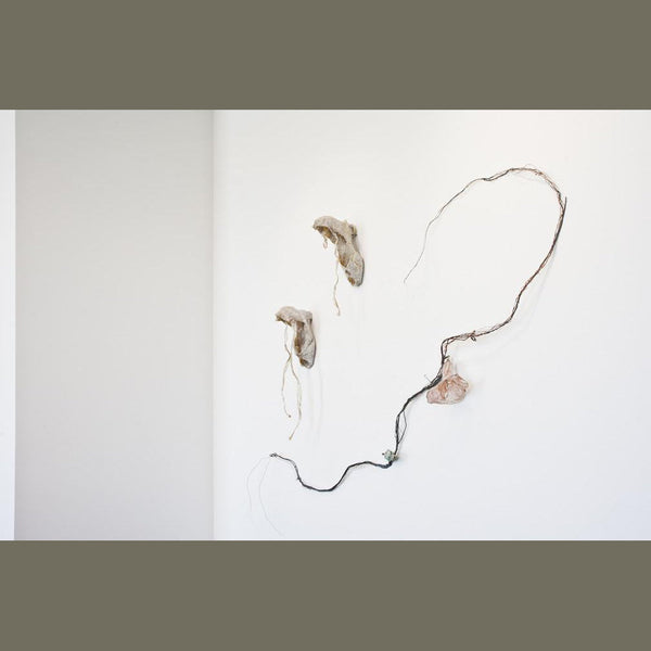 Installation of Shoe and Vine Sculptures – Susan Freda Studios