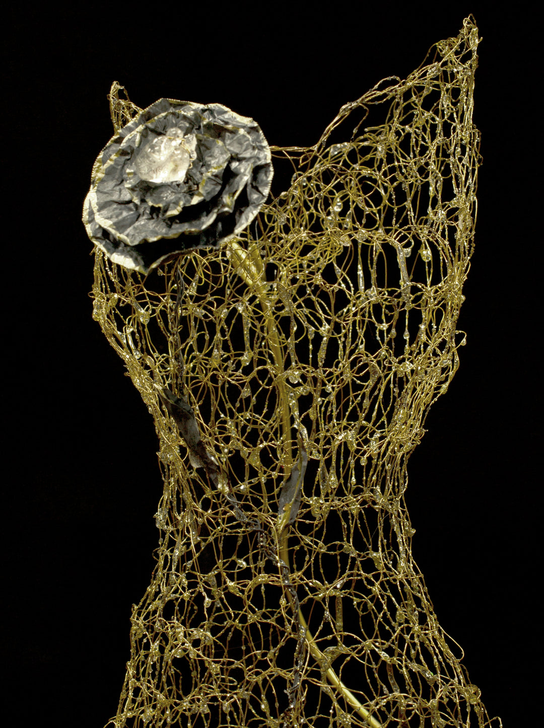 Natare (Swim) – Susan Freda Studios