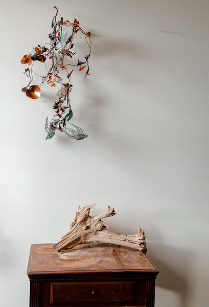 Installed Avem Vitis (Bird Vine) – Susan Freda Studios