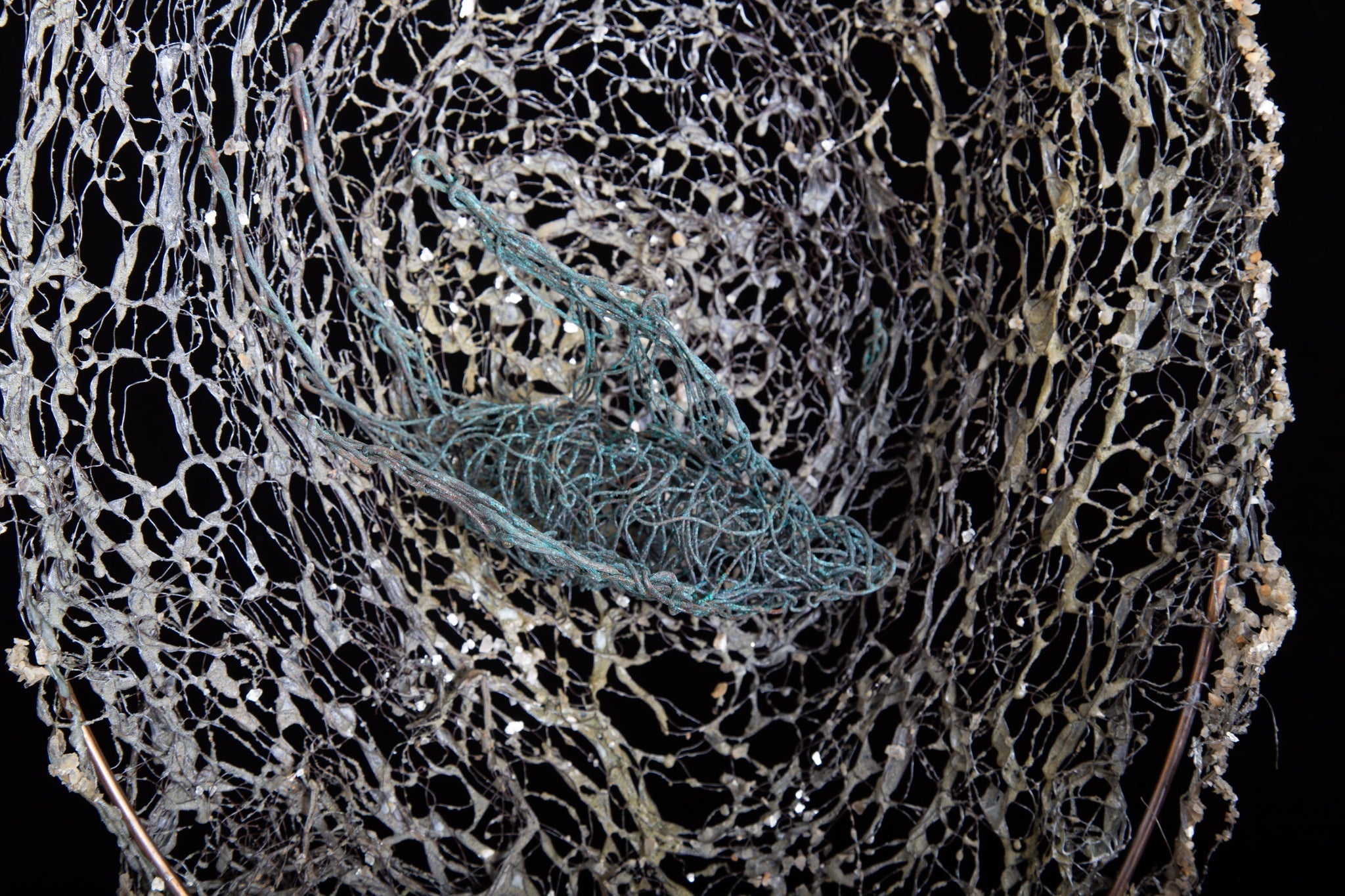 Bird Nest Wall Sculpture ~ Volucres Nidificant (Birds Nest) Wall Piece ...