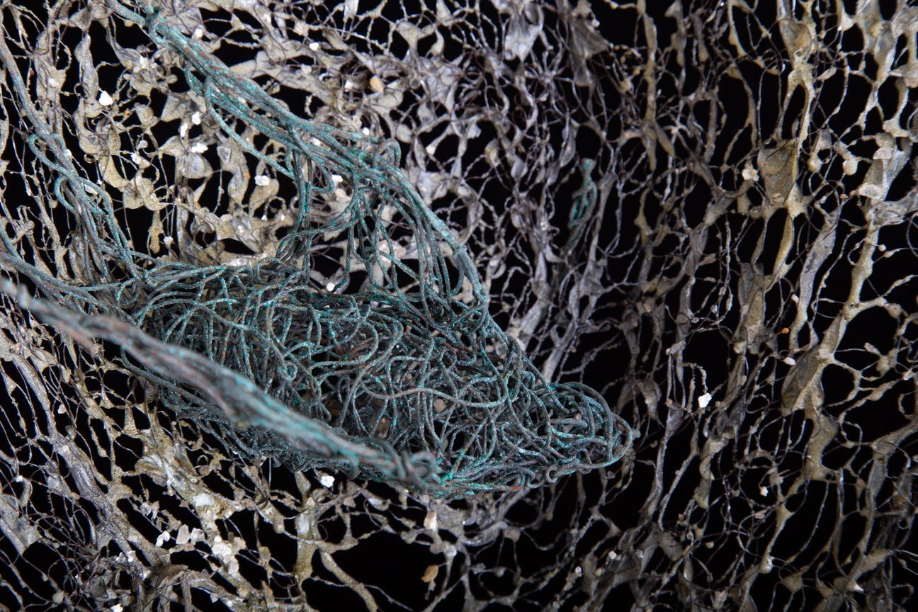 Bird Nest Wall Sculpture ~ Volucres Nidificant (Birds Nest) Wall Piece ...