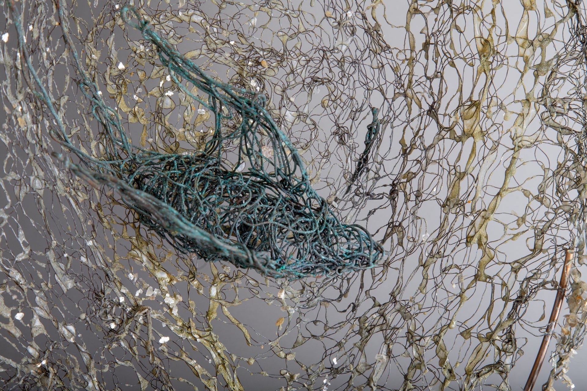 Bird Nest Wall Sculpture ~ Volucres Nidificant (Birds Nest) Wall Piece ...