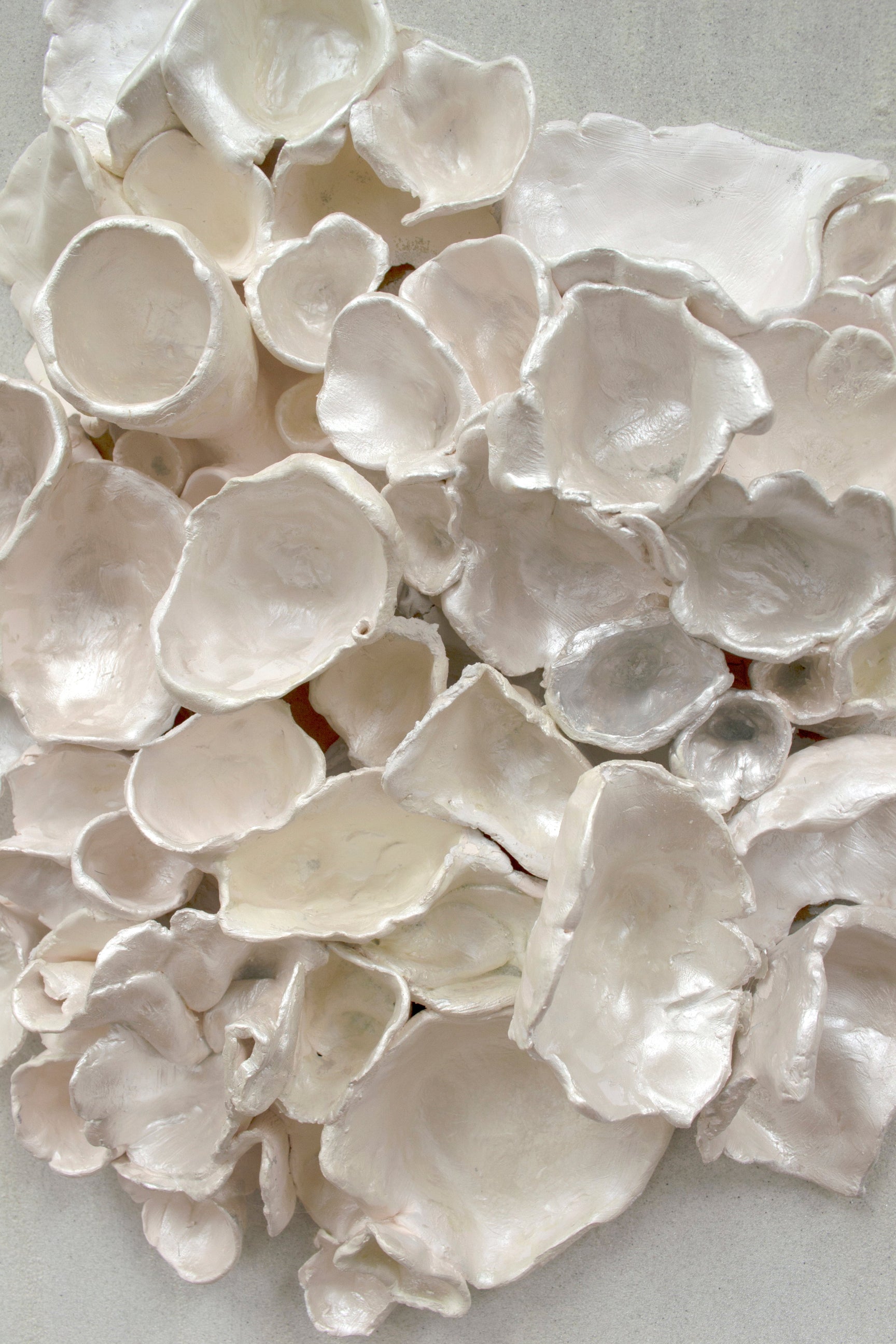 Concha Mare II (Sea Shell II) – Susan Freda Studios