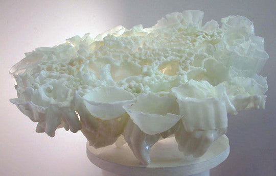 Self Portrait – Susan Freda Studios