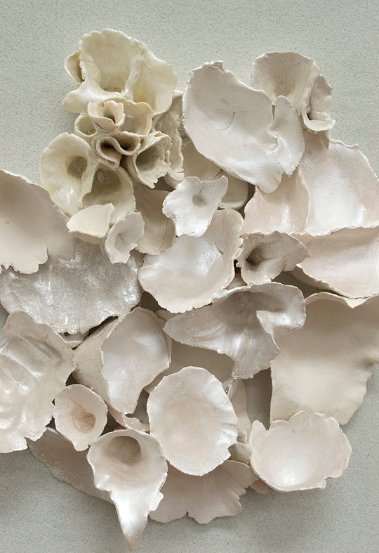 Concha Mare (Sea Shell) – Susan Freda Studios