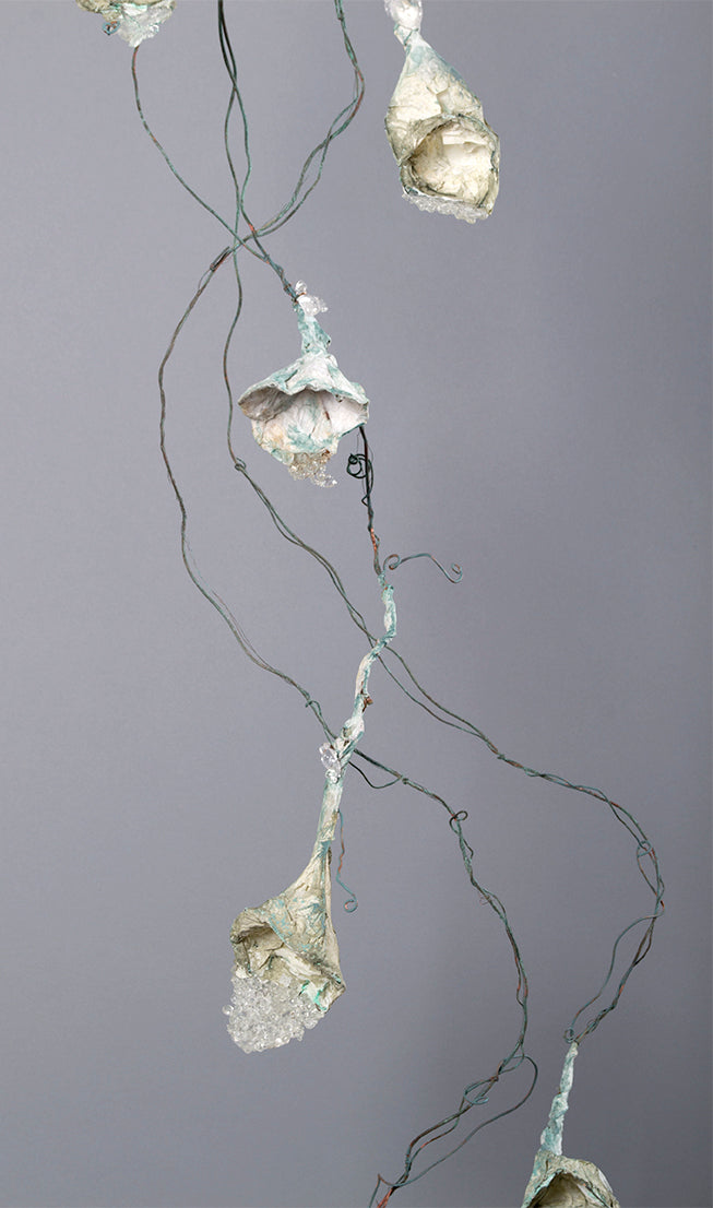 Installed Urceus Vinea (Pitcher Vine) – Susan Freda Studios